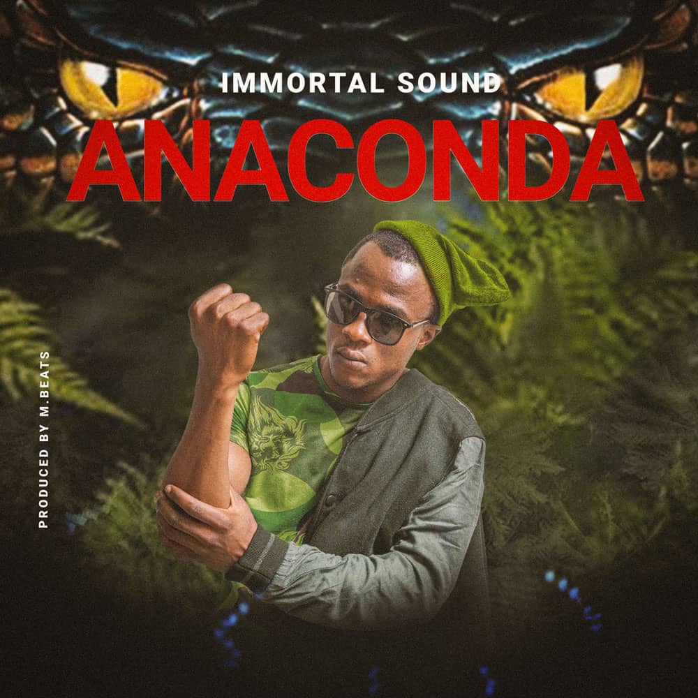 Immortal Sounds - Anaconda (Music Video) - Zambianplay